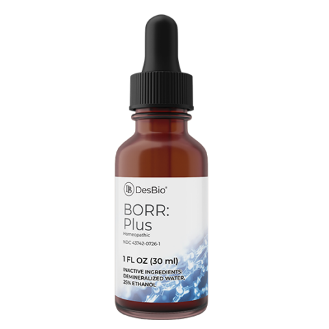 BORR:Plus - DBscript